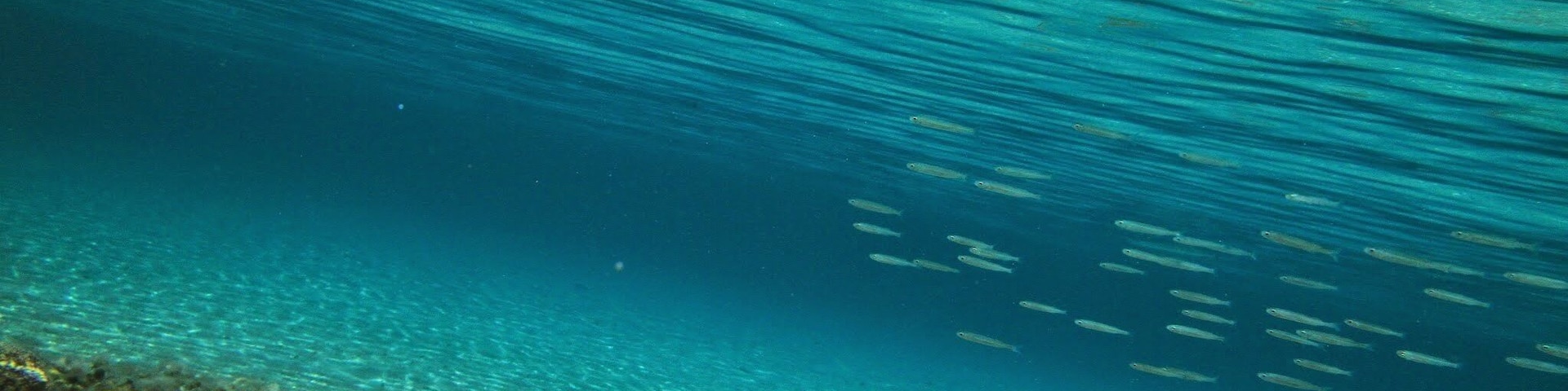 Blue world, #sea#nature