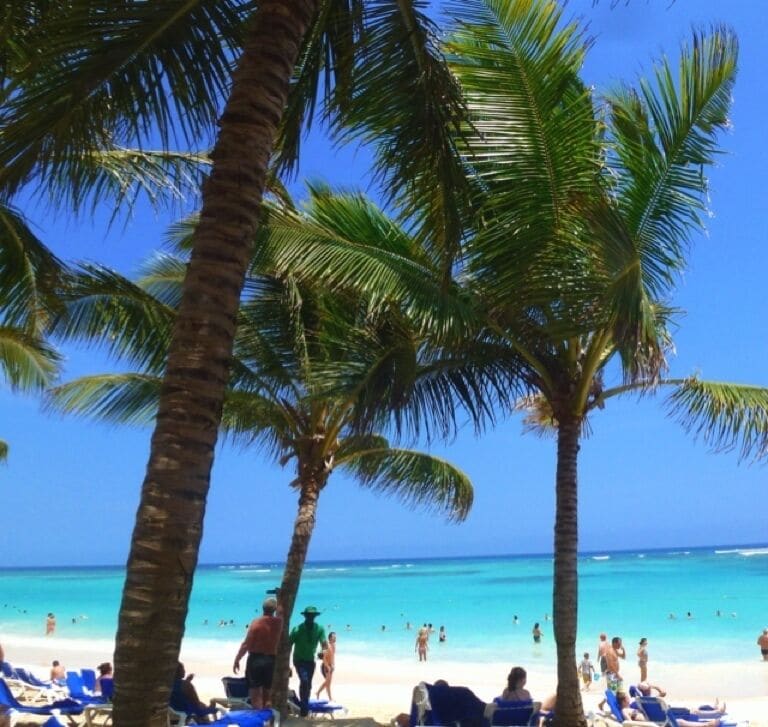 Uma praia com palmeiras, água azul cristalina e pessoas tomando sol.