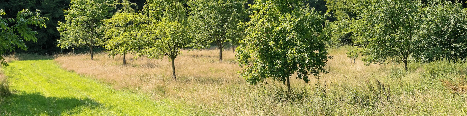 Naturschutzgebiet "Hummerbachtal", Extertal, Kreis Lippe