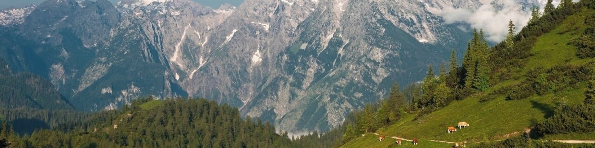 July 2013
Berchtesgadener Alpen
View of Watzmann range
Top with alt. 2.713 m the 3rd highest mountain in Germany - Watzmann Mittelspitze
It overlooks the lovely Koenigsee from west
Taken near Carl-Stahl-Haus near Jenner