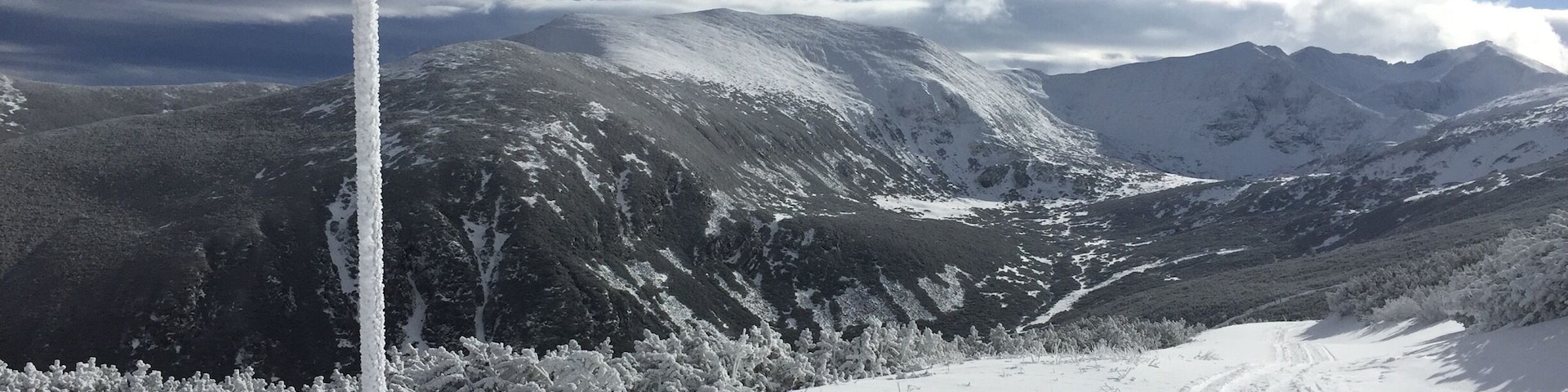 Pathway to the peak - Winter! #WinterWonders #lifeatexpedia