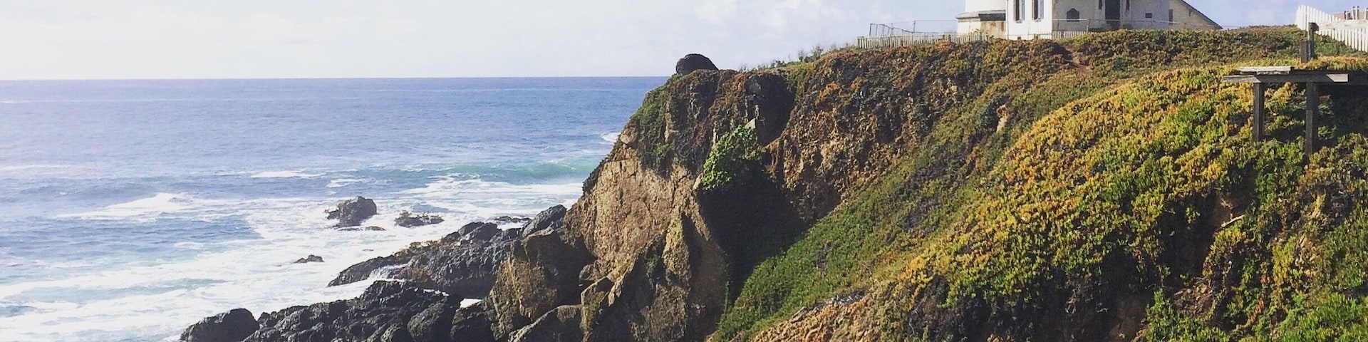 I drove from San Jose through Half Moon Bay, the drive was the best and there're many vista points to enjoy the view. I also spotted couple of dolphins.