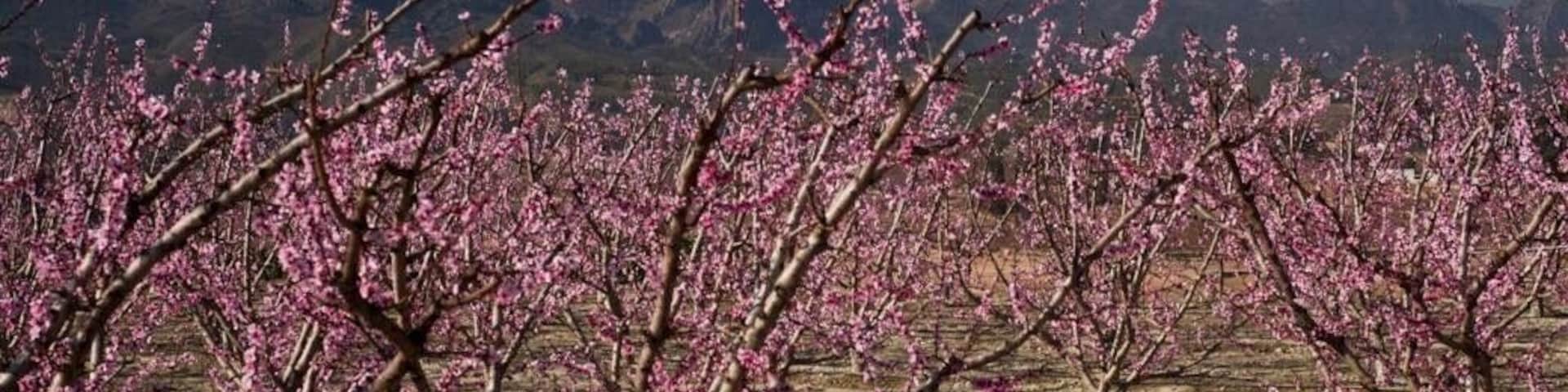 Taken from the roadside. But could be improved at sunrise as the light would hit the mountain in the background!!