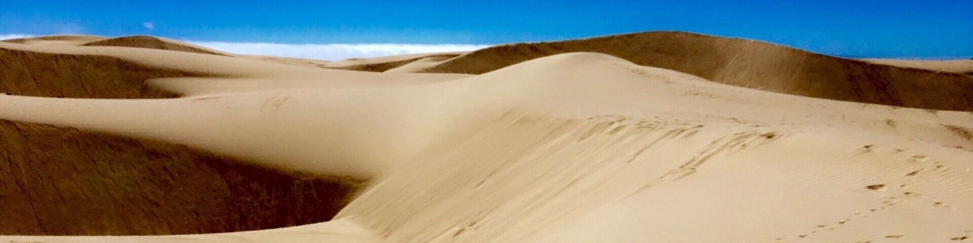 Walking through the Dunes brings so much Peace to Your Soul, I went so many times to Pismo and once you walk into the Dunes you feel into another part of the world on just couple seconds! Enjoy!