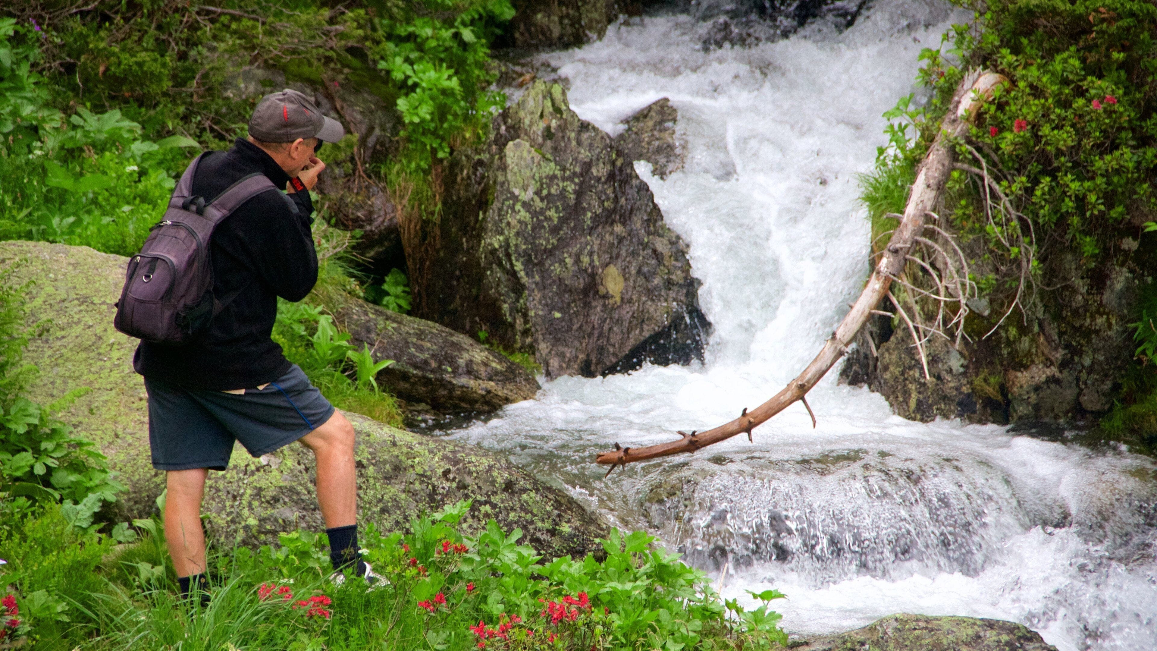 Um caminhante observando uma cascata cercada por vegetação exuberante e pedras.