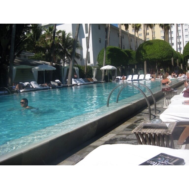 Piscina com espreguiçadeiras e palmeiras.