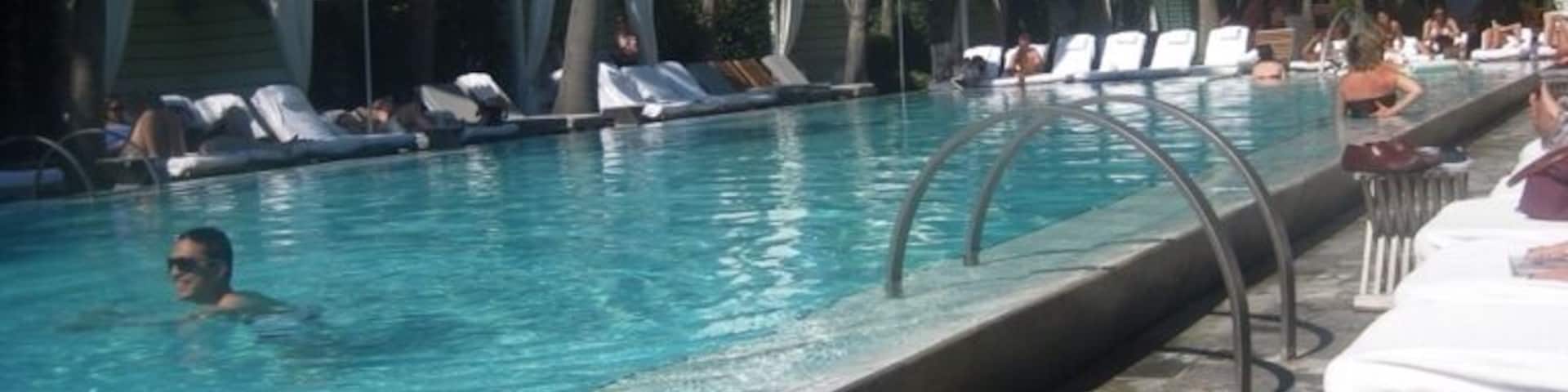 Piscina com espreguiçadeiras e palmeiras.