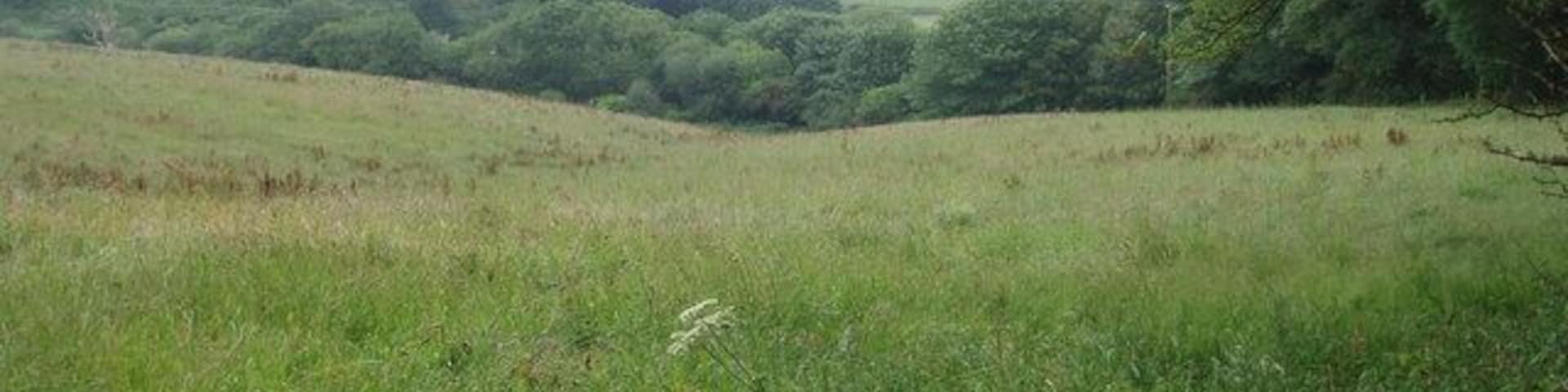 Stream valley at Wheal Fortune. Disused mine in the valley; Sithney church behind.