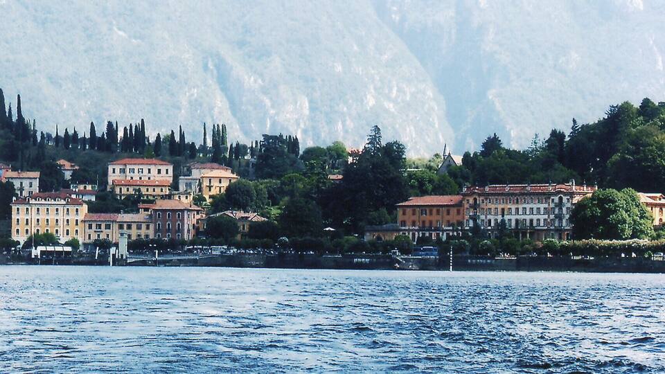 I am in love with these pointy Italian Cypress trees.