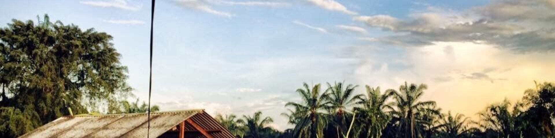 If you into dragon fruit this place has it all. From fresh fruits to enzymes. Go around sunset and you'll be more rewarding