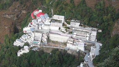 Vista aérea de um complexo com vários edifícios, cercado por uma floresta densa.