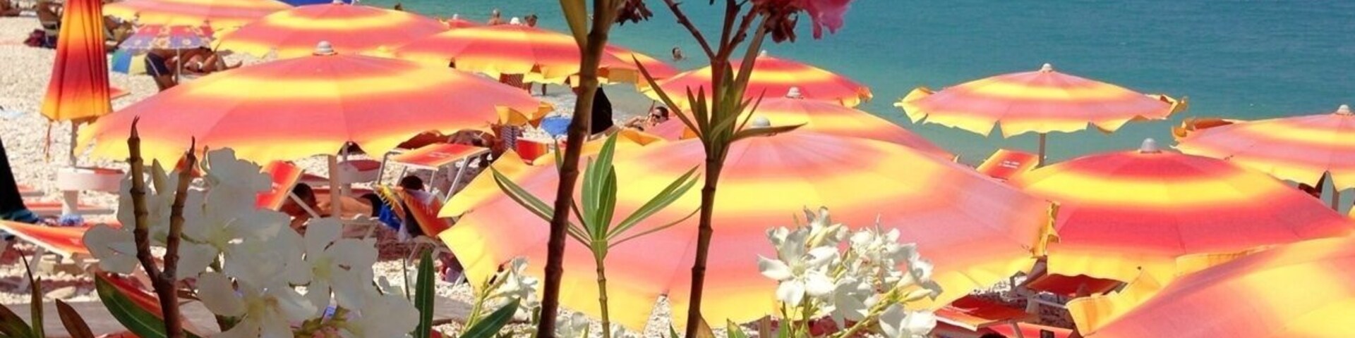 Uma praia com guarda-sóis coloridos e flores brancas em primeiro plano.