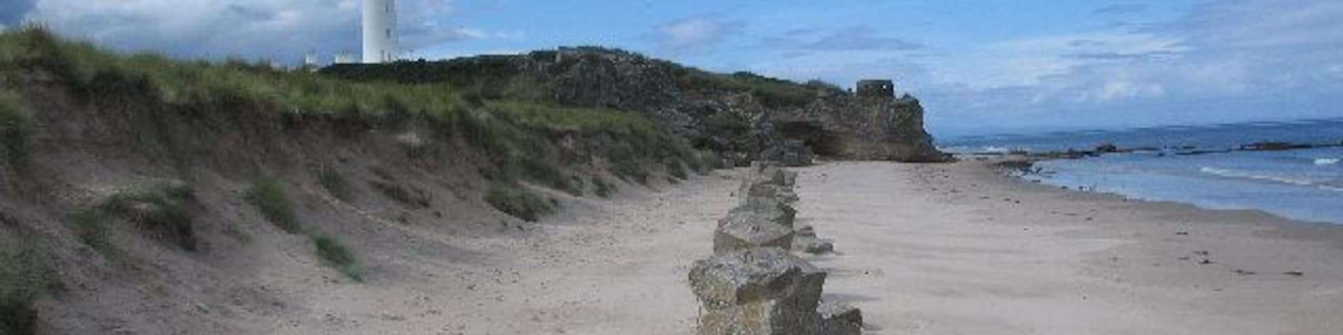 Dune erosion. When I first visited this area some 20 odd years ago, the wartime anti-tank blocks were at the base of the dunes. The dunes have now receded quite some way. Many of the blocks carry inscriptions by the (Pioneer Corps?) soldiers who made them. Quite a few relate to places in Wales. 50608 50613 50614 50617