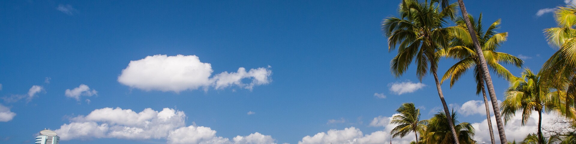 Uma praia com palmeiras, céu azul límpido e uma paisagem urbana ao fundo.
