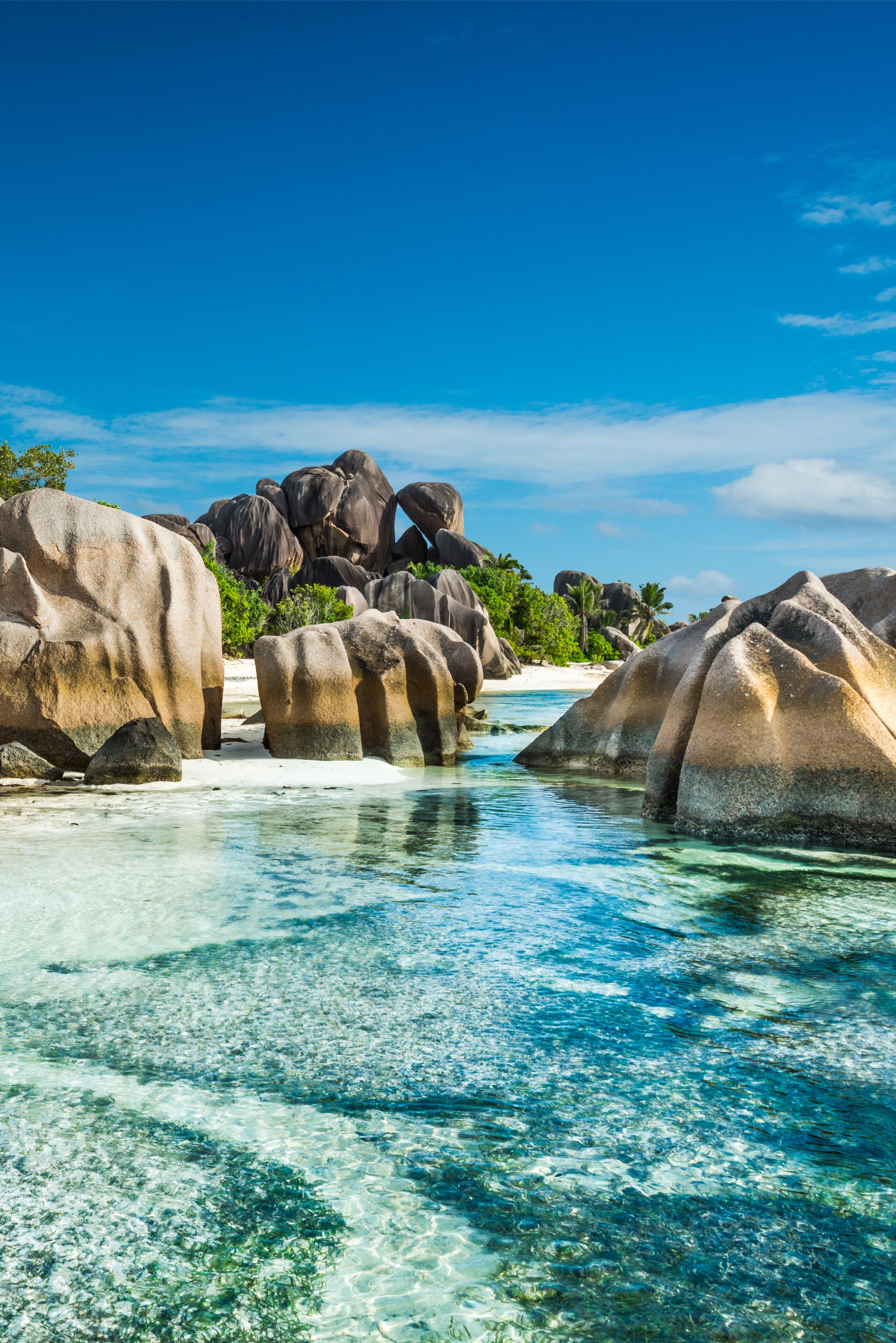 Mar azul cristalino com grandes formações rochosas e vegetação exuberante.
