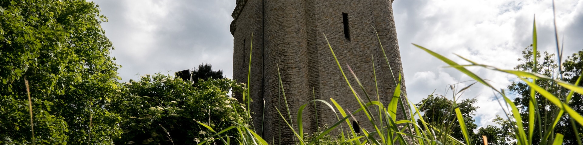 A great shot from walk