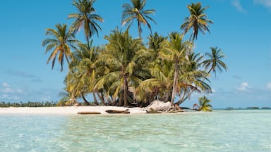 Uma praia tropical com águas turquesa cristalinas, palmeiras e uma costa arenosa.