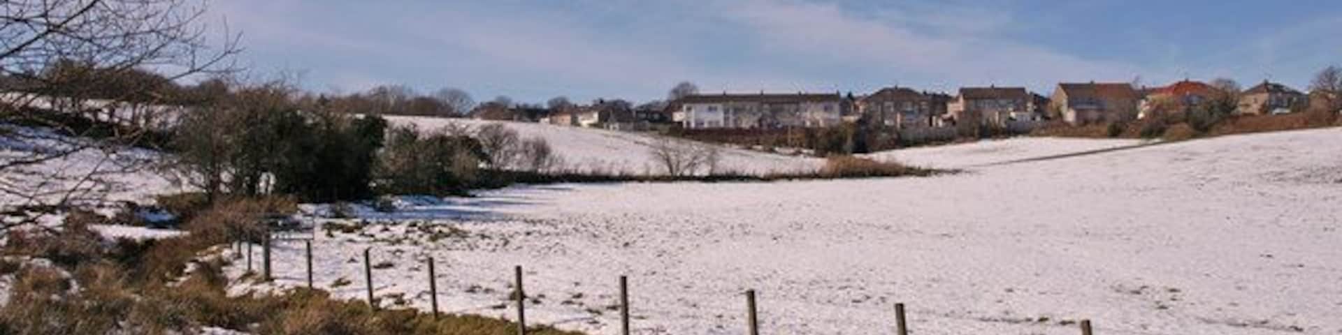Farmland near Johnston Castle View from Glenpatrick Road.
