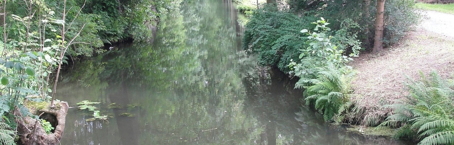 For nature lover ONLY!, this is a great spot when you need a break within a short distance from Berlin city, cycle, canoe, and enjoy the organic local food. #localgem