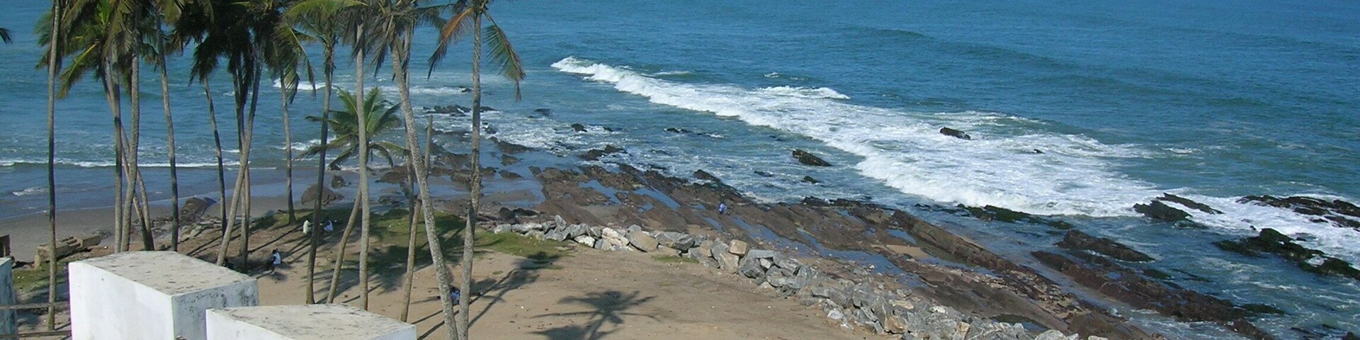Uma praia com palmeiras e costa rochosa.