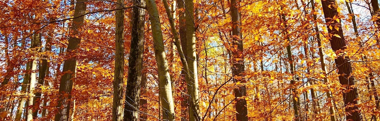 What a beautiful find on Saturday afternoon