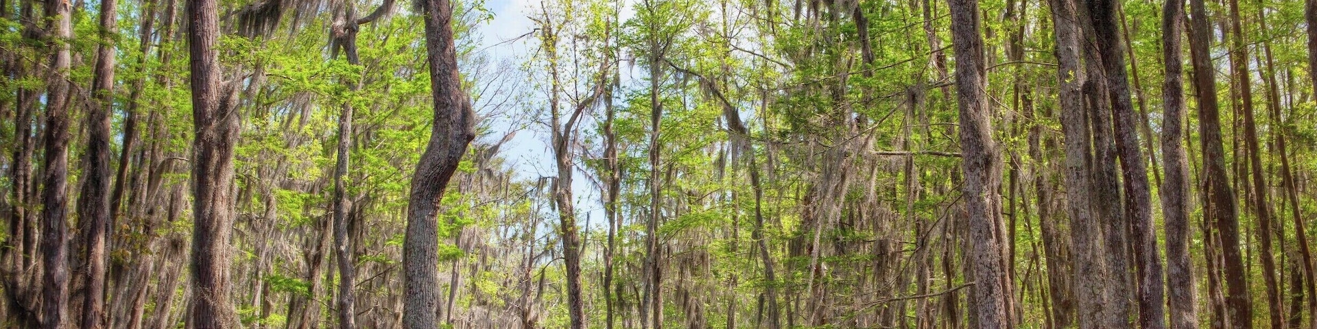No matter how many times I go to Louisiana, I'll never get tired of it. So it's a good thing I have a lot of family there!