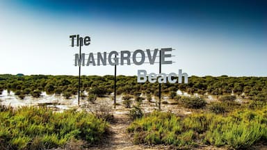 Placa indicando The Mangrove Beach, com um cenário de vegetação densa de mangue e céu claro.