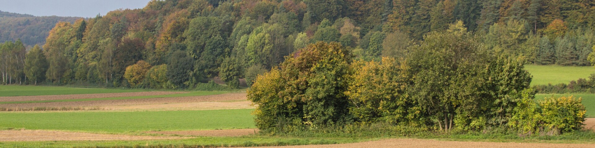 Heuchling, Pommelsbrunn, LSG Ausweisung des LSG Nördlicher Jura