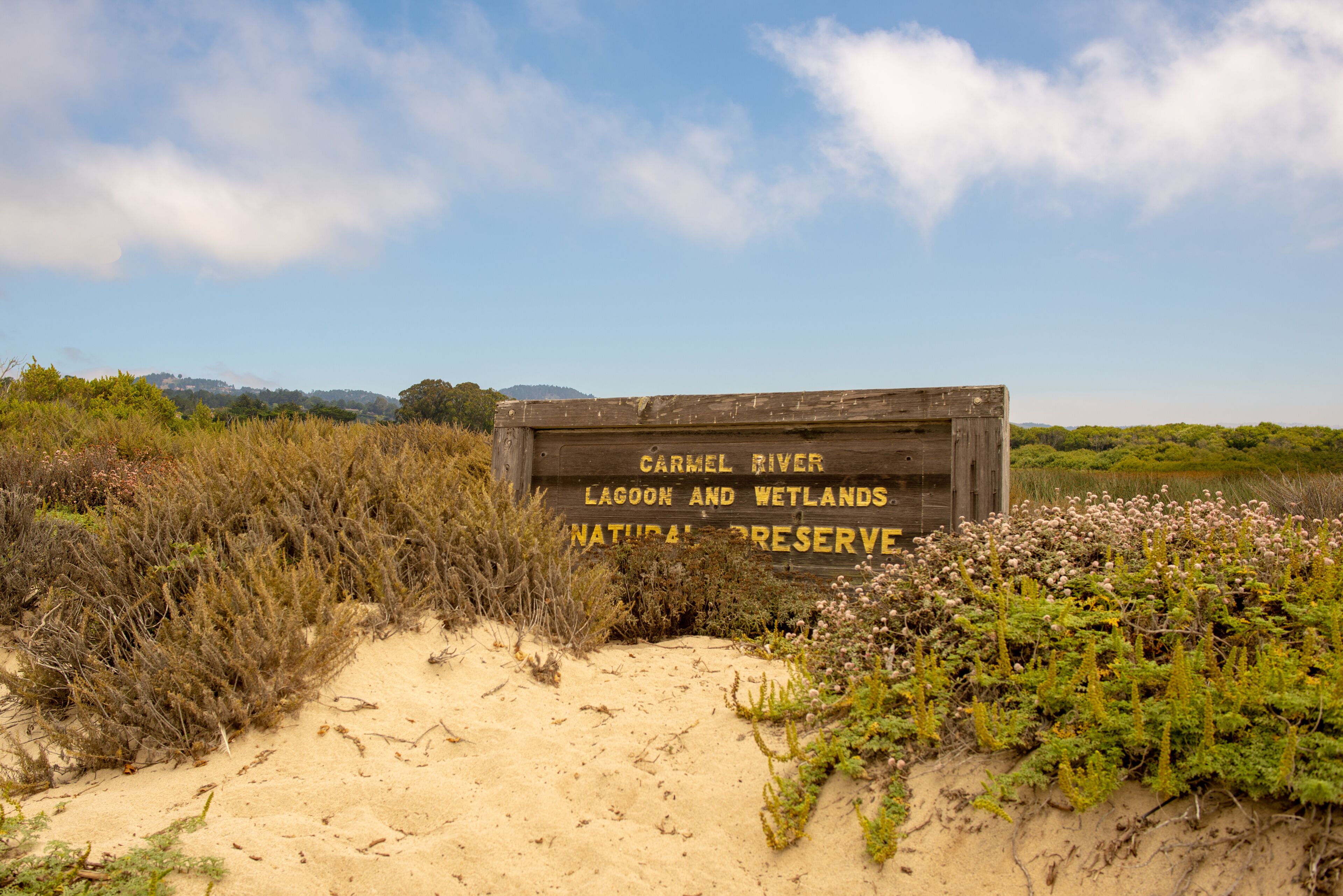 Placa de madeira em ambiente natural com a inscrição 'Carmel River Lagoon and Wetlands Natural Preserve'.