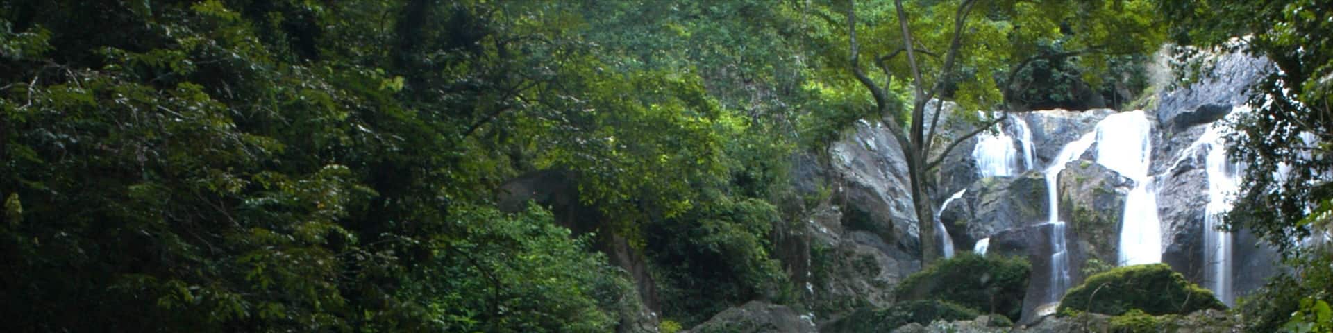 Trinidad which includes forest scenes and a cascade