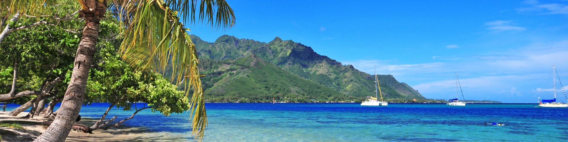 Uma praia tropical com águas cristalinas azul-turquesa, palmeiras e montanhas ao fundo.