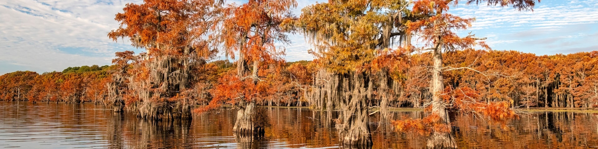 Um lago sereno com árvores em tons outonais e reflexos.
