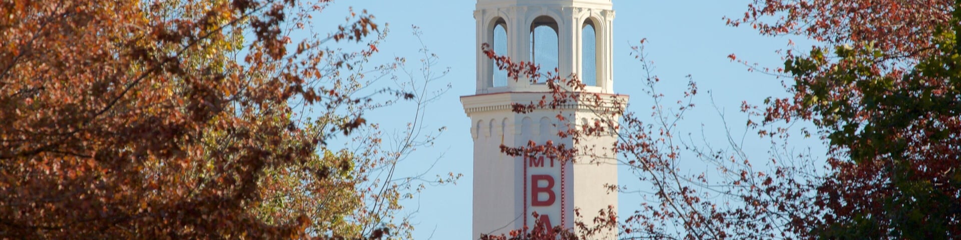 Bellingham showing autumn leaves and heritage architecture
