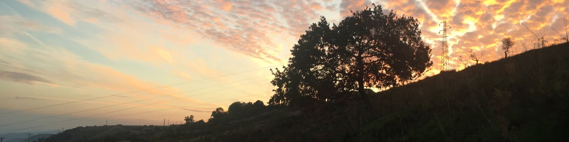 Morning run along the sea side. Great colours!!!