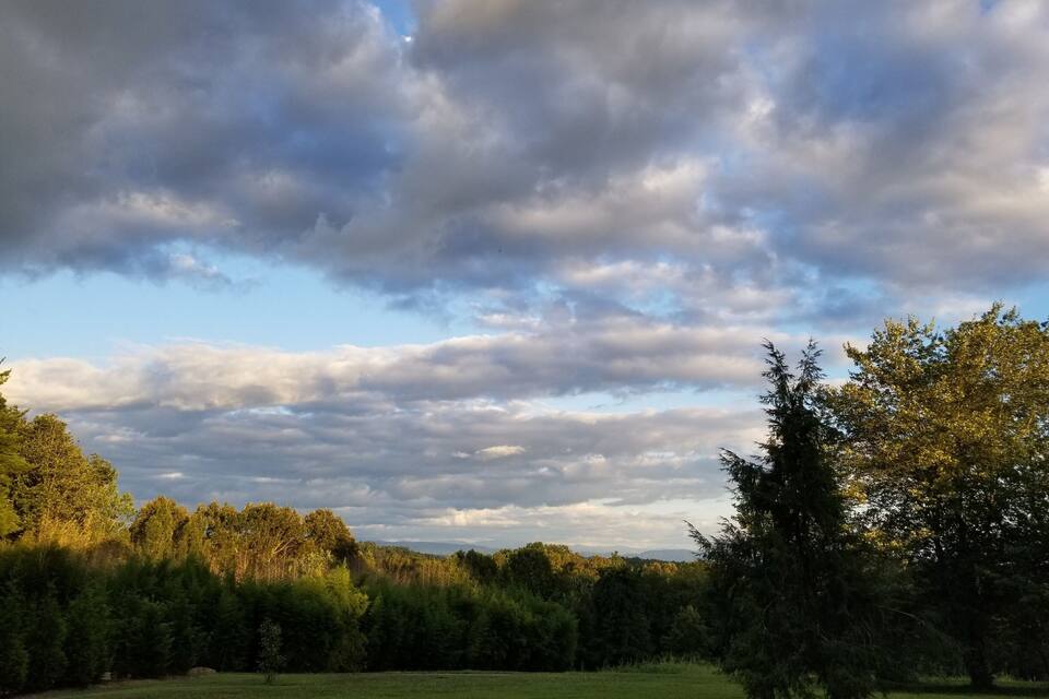 Paisagem com céu nublado, árvores densas e campo gramado.