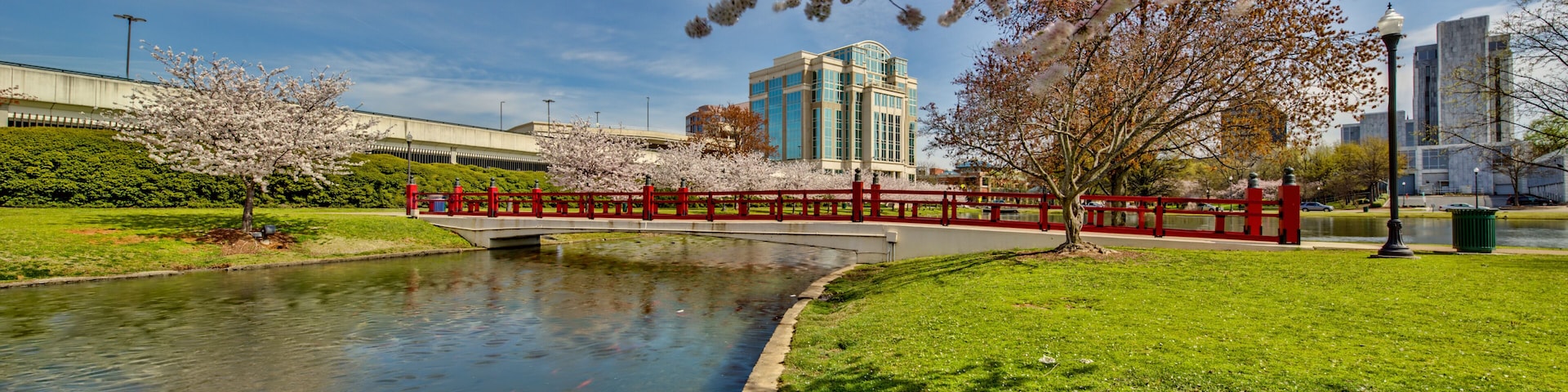 Um parque com lago, cerejeiras em flor, uma ponte vermelha e edifícios modernos ao fundo.