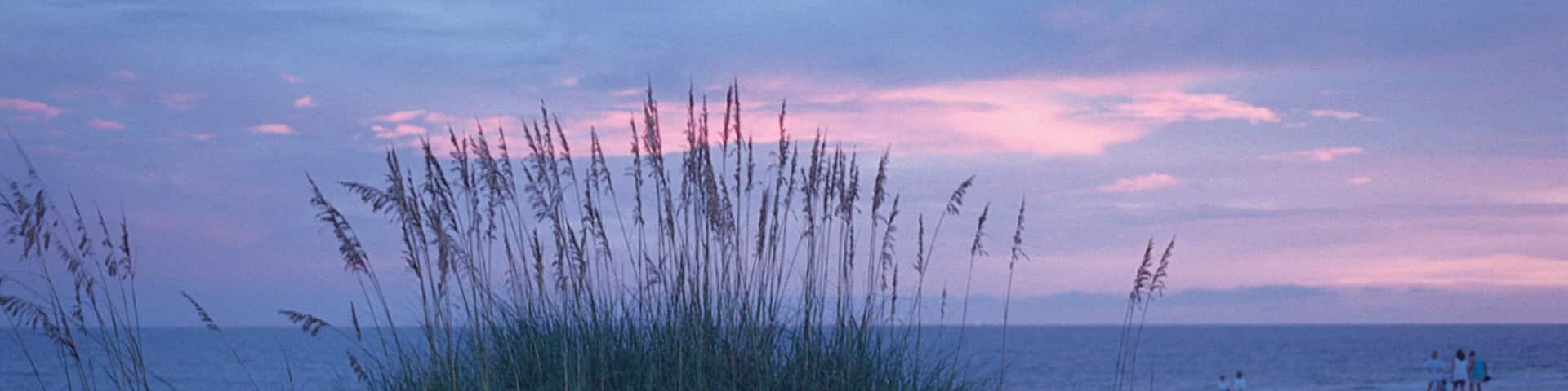 Gulf Shores featuring a sunset and a sandy beach