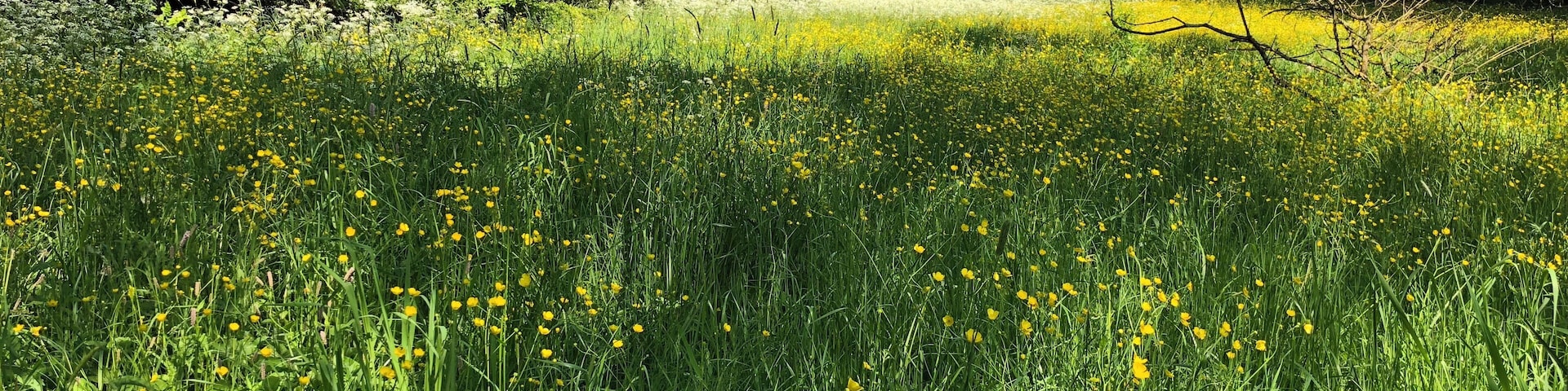 Bilder zwischen der Mündung des Lengelbach und der Huhnsmühle.