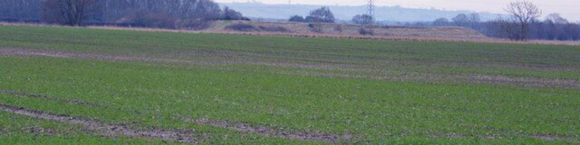 Reservoir, Searby Moor. The reservoir is behind the grassy banks between the trees.