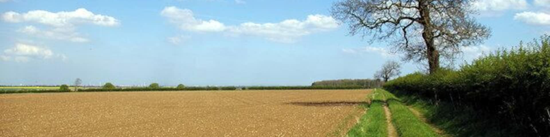 Looking towards Camp Covert. Camp Covert is the small wood on the horizon at the end of the track.