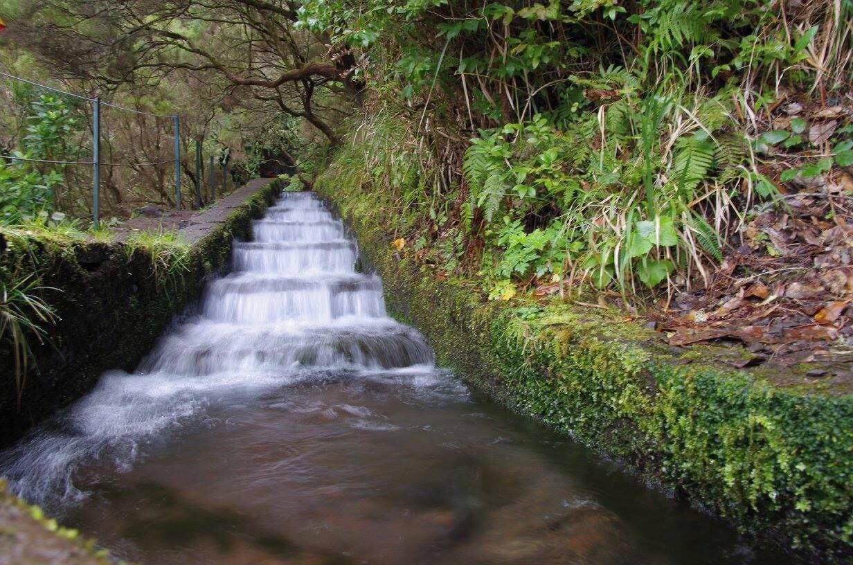 Uma cascata escorrega em uma área arborizada, com um caminho de pedra e vegetação densa.
