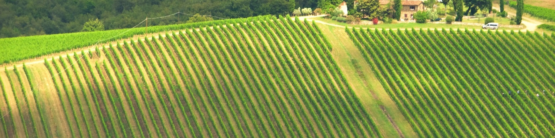 Região do Chianti caracterizando fazenda