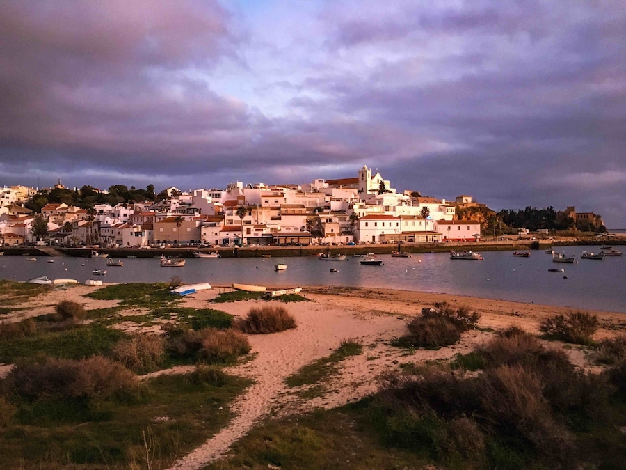 Uma vila costeira com edifícios e barcos na água.