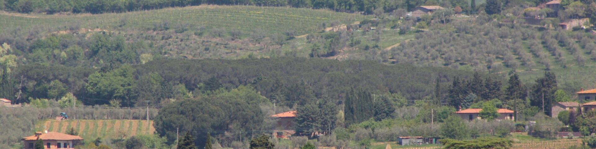 Paisagem rural com colinas onduladas, vinhedos e edifícios tradicionais com telhados de terracota.