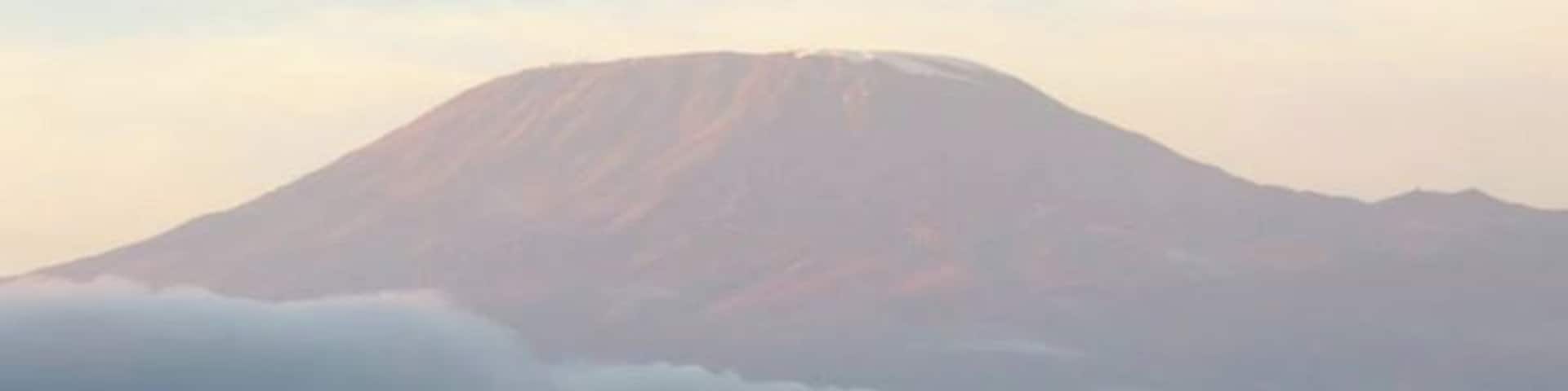 Montanha envolta em árvores, com base de nuvem.