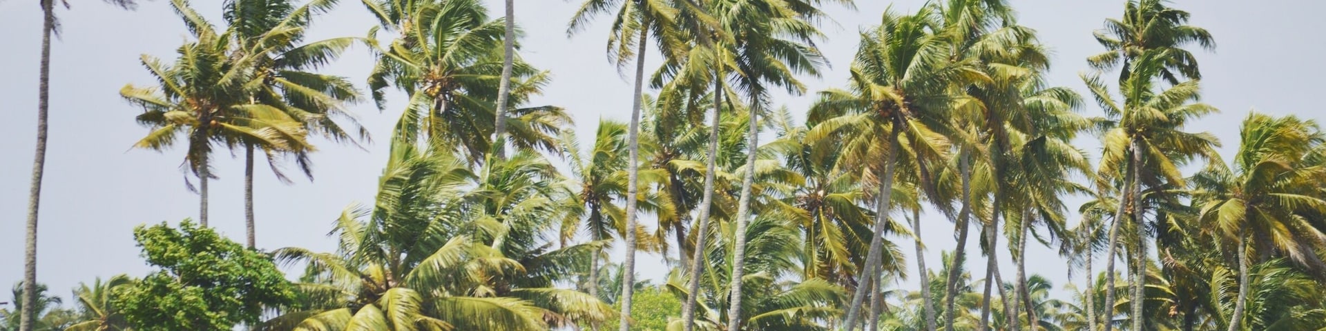 The lush greens are just mesmerizing
#AquaTrove