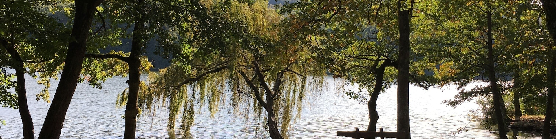 Foto scattata presso il laghetto di Origlio