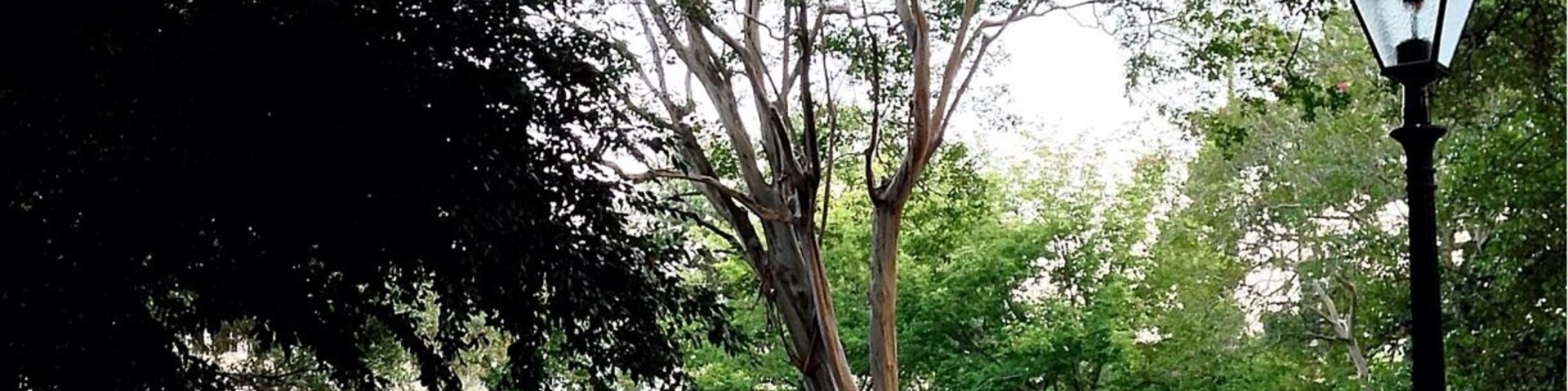 Built in 1790, Washington Square was named in 1791 for the first President of the United States, who visited Savannah in that year. Washington Square had been the site of the Trustees' Garden. Named for the trustees of Oglethorpe's colony the garden was the proving ground for a variety of experimental crops—including mulberry (for silkworms), hemp, and indigo—viewed as potential cash crops for the new colony. Most of these experiments proved unsuccessful. Washington Square is on Houston, between Bryan and Congress Streets. Washington Square was one of only two squares named to honor a then-living person; Troup Square was the other. Washington Square was once the site of massive New Year's Eve bonfires; these were discontinued in the 1950s.