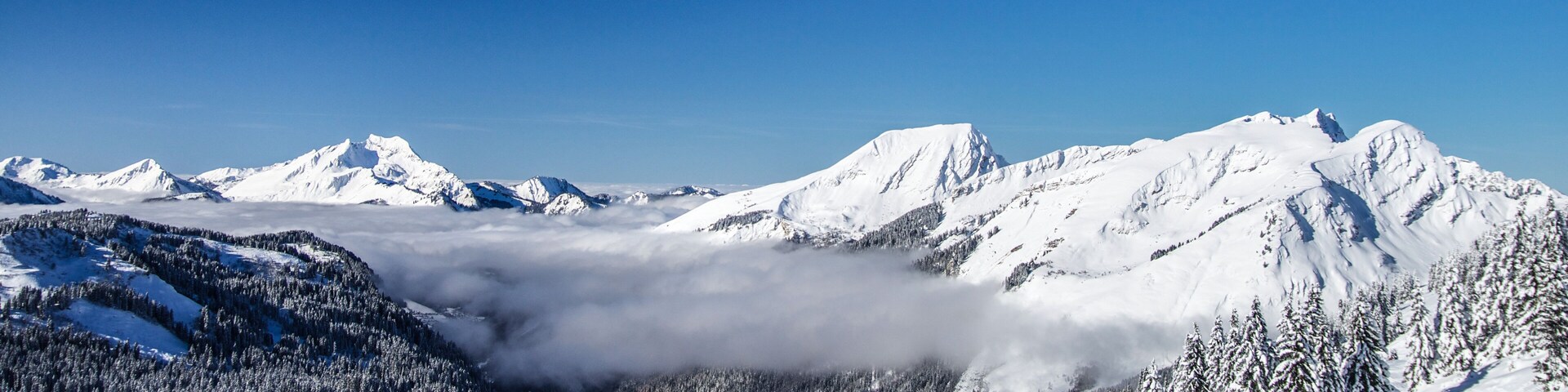 Uma cordilheira coberta de neve com um vale de árvores perenes.