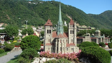 Uma igreja histórica com uma torre alta, rodeada por vegetação exuberante e plantas floridas.
